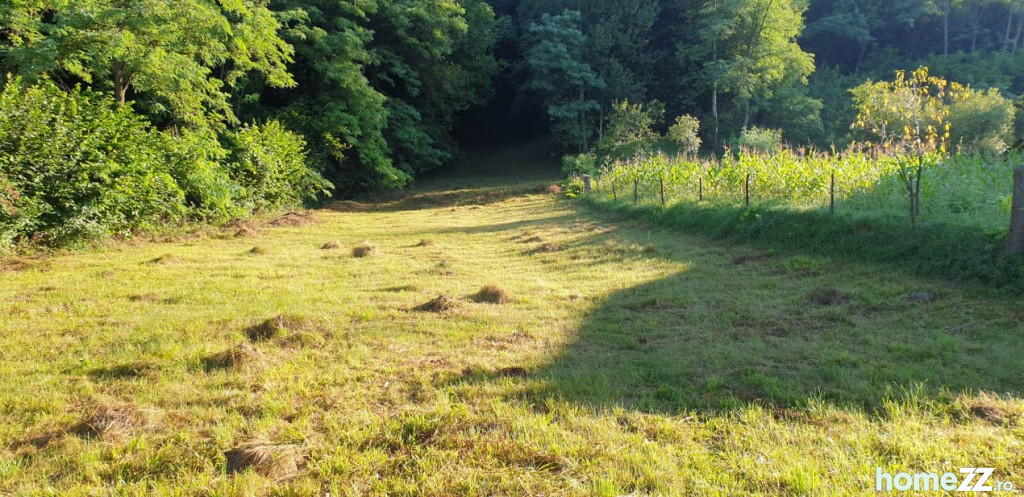 Teren 7000mp Pucioasa - Valea Lunga Gorgota in Stubeie Tisa