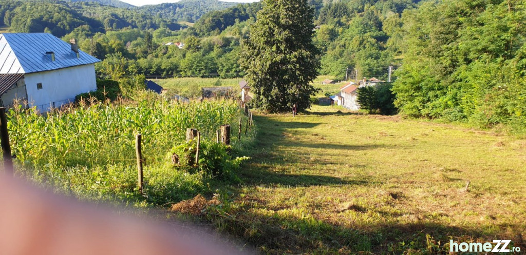 Teren 7000mp Pucioasa - Valea Lunga Gorgota in Stubeie Tisa