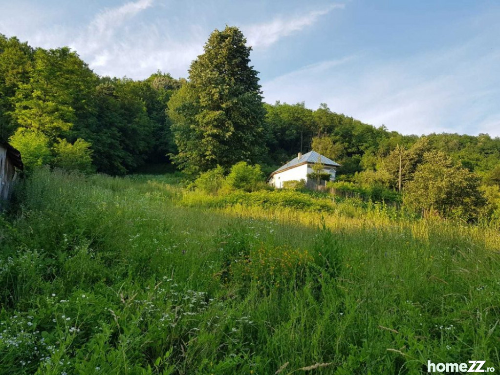 Teren 7000mp Pucioasa - Valea Lunga Gorgota in Stubeie Tisa