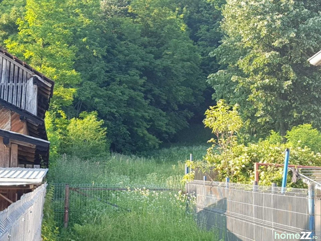 Teren 7000mp Pucioasa - Valea Lunga Gorgota in Stubeie Tisa