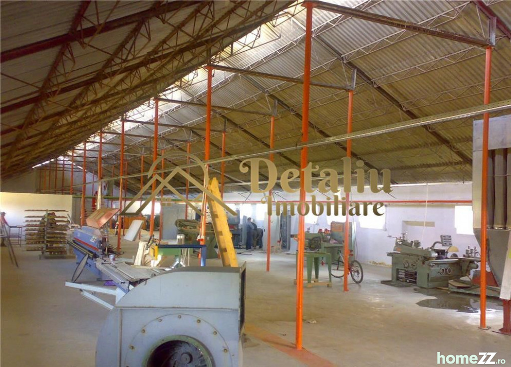 Hala industriala productie 500 mp + 1500 mp teren in Vintu De Jos