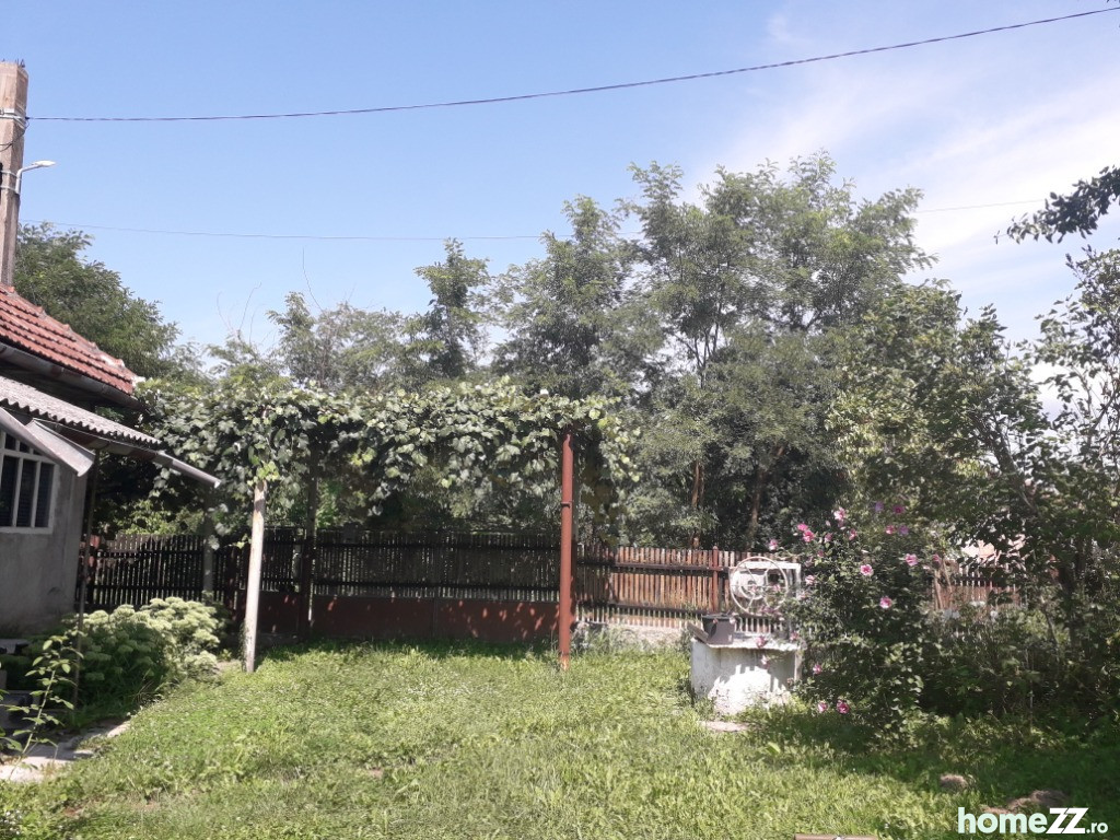 Casa in Pomi in Baia Mare