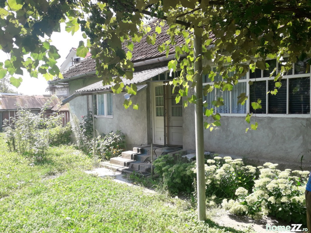 Casa in Pomi in Baia Mare