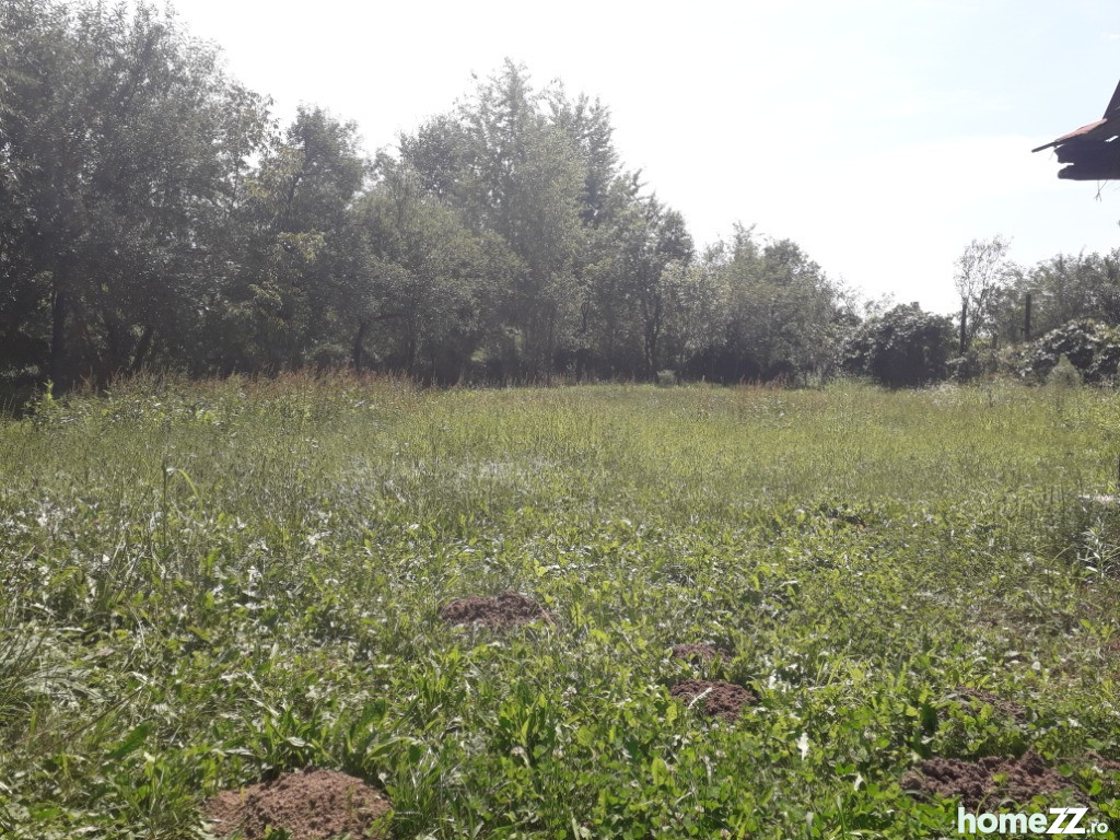 Casa in Pomi in Baia Mare