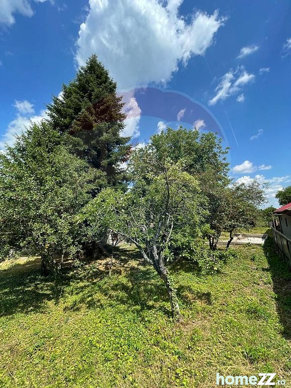 Teren Samurcasi-Buftea / Strada Lacul lui Soaba in Samurcasi